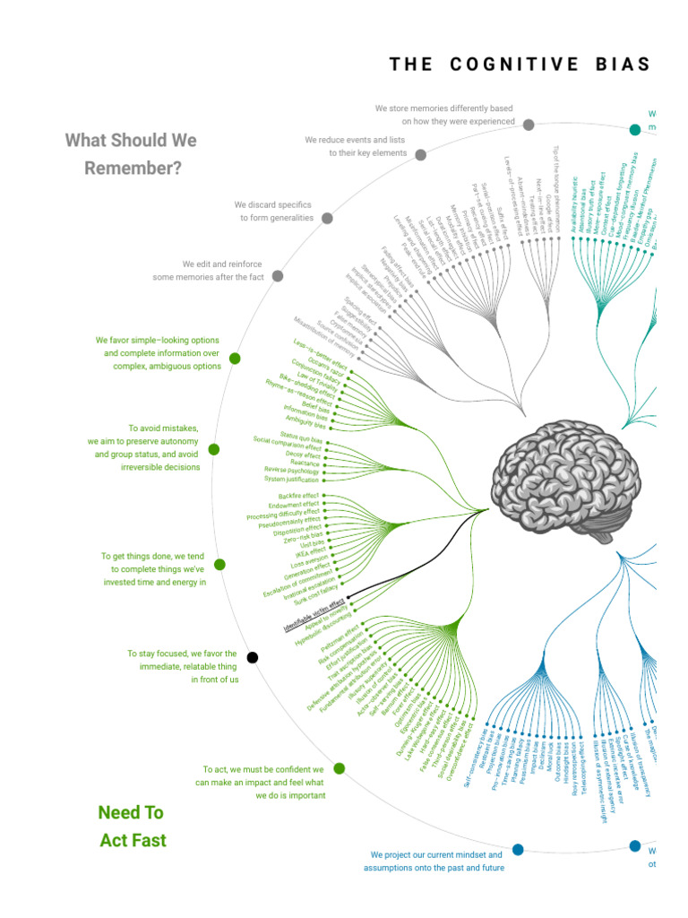 Cognitive Bias Codex Overview | PDF | Ignorance | Psychology