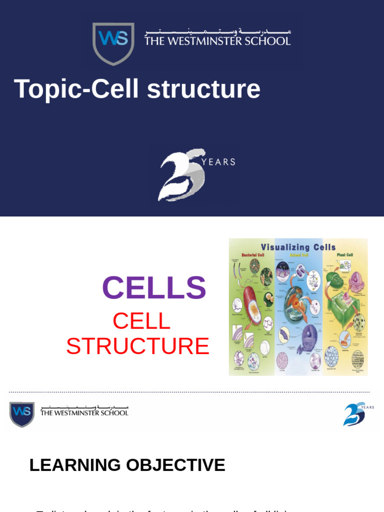 Cell Structure Bio Yr91 | PDF | Cell (Biology) | Cytoplasm