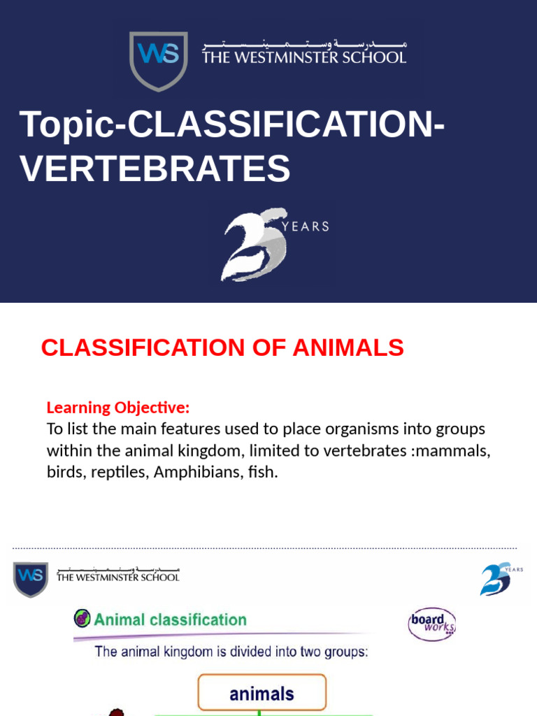 Vertebrate Classification Guide | PDF | Reptile | Amphibian
