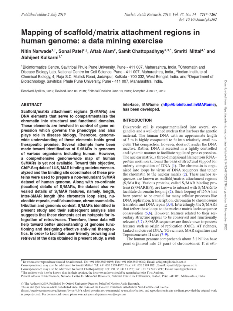 2019 Mapping of Scaffold Matrix Attachment Regions in Human Genome A ...