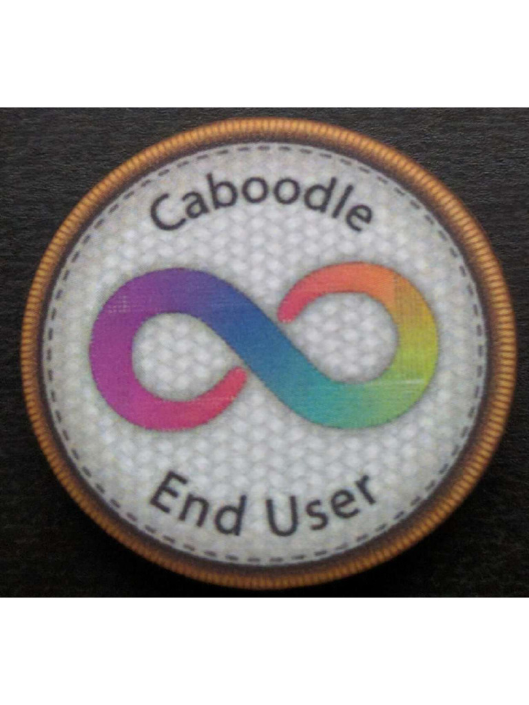 Caboodle End User | PDF