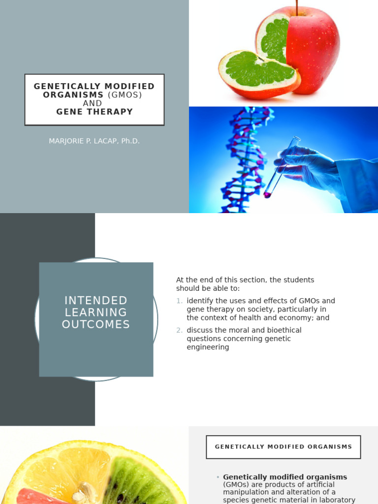 Genetically Modified Organisms (GMOs) and Gene Therapy | PDF ...