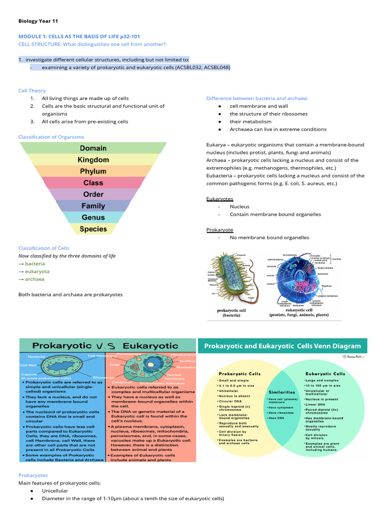 Bio Module 1 Notes - Cells As The Basis of Life | PDF | Prokaryote ...