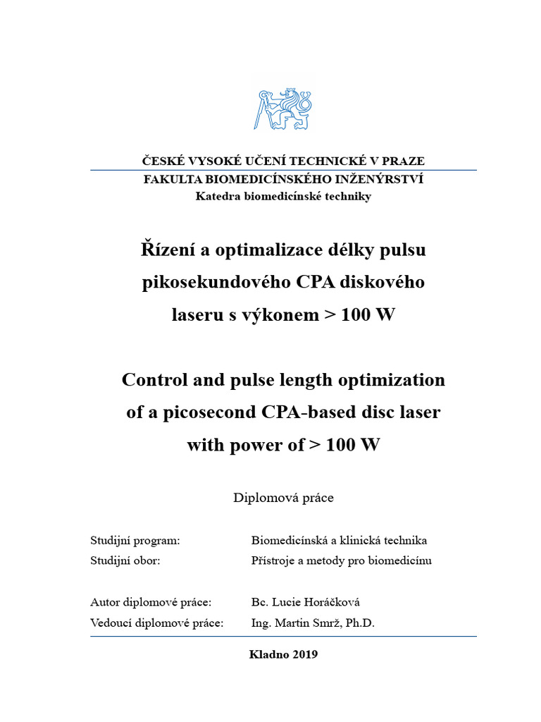 FBMI DP 2020 Horackova Lucie Prace | PDF