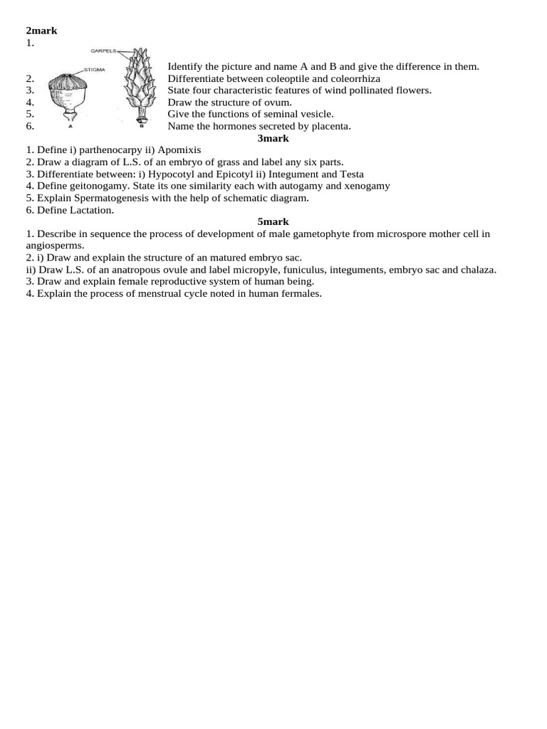 Grade 12 Bio Test | PDF