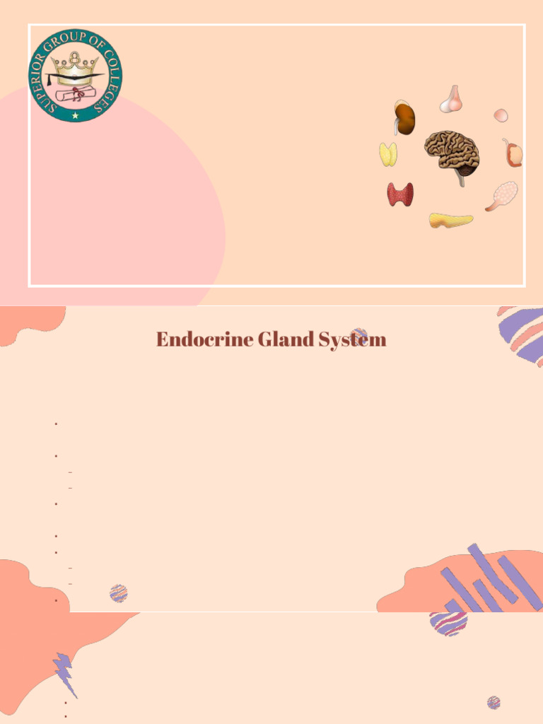Overview of the Endocrine Gland System | PDF | Endocrine System ...