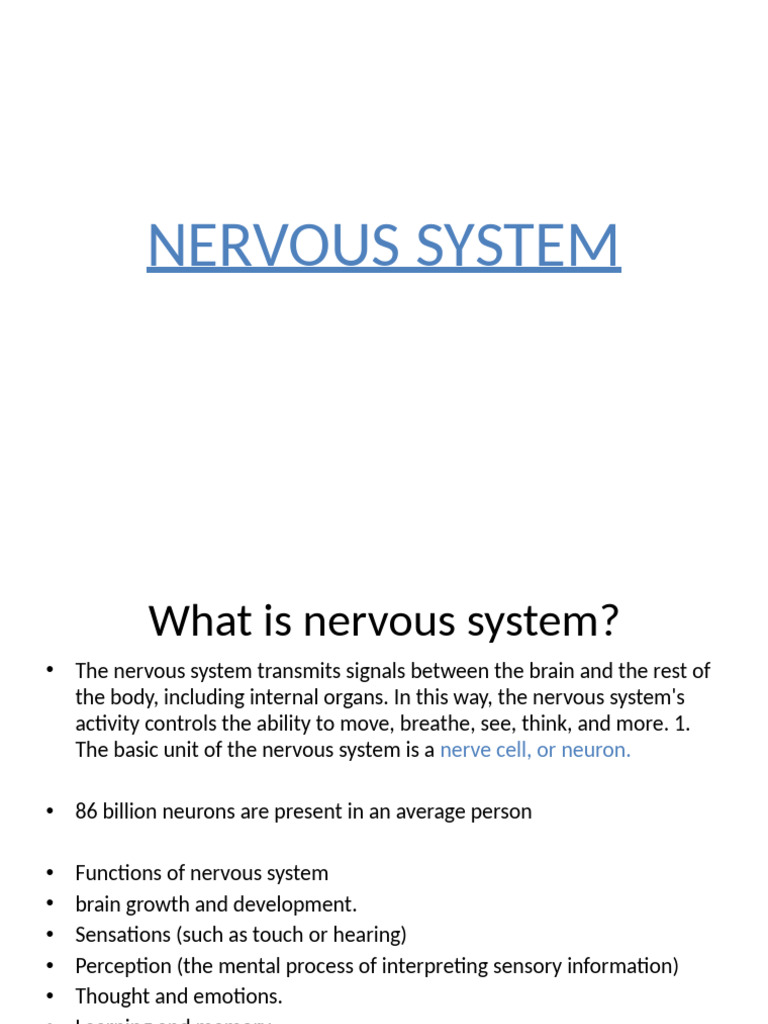 Nervous System | PDF | Nervous System | Nerve