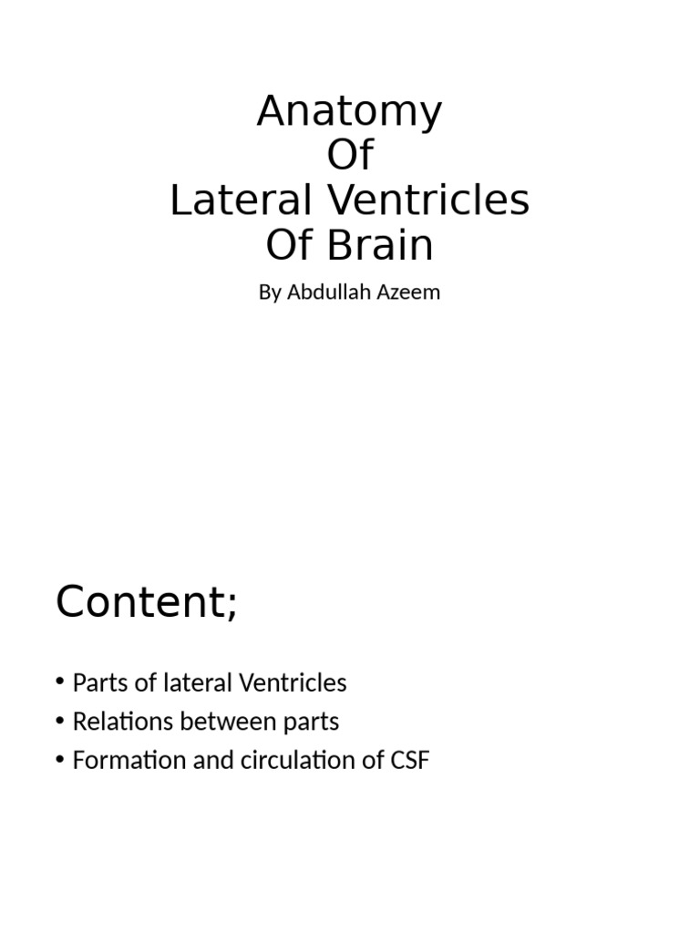 Anatomy of Brain's Lateral Ventricles | PDF | Neuroscience | Brain