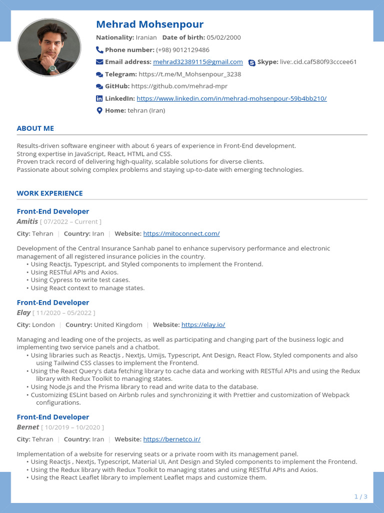 Front-End Developer Profile | PDF | Web Development | Computing