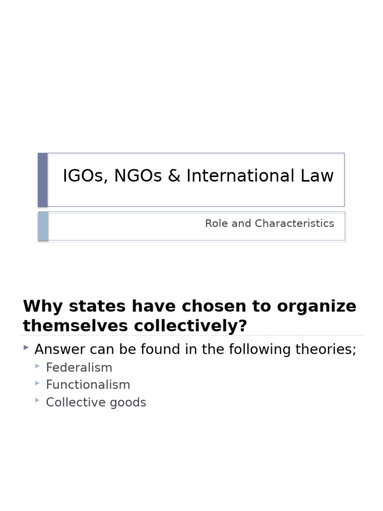 IGOs--NGOs---IL-16122024-022539pm | PDF | Non Governmental Organization ...
