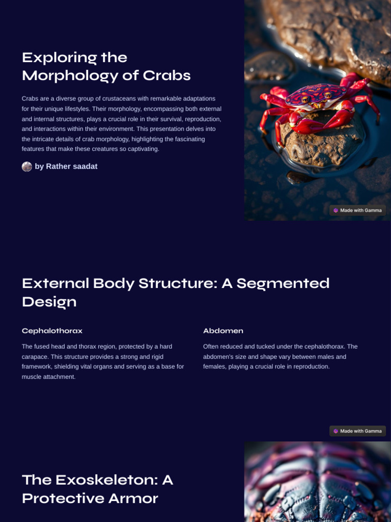 Exploring the Morphology of Crabs | PDF | Crab | Arthropods