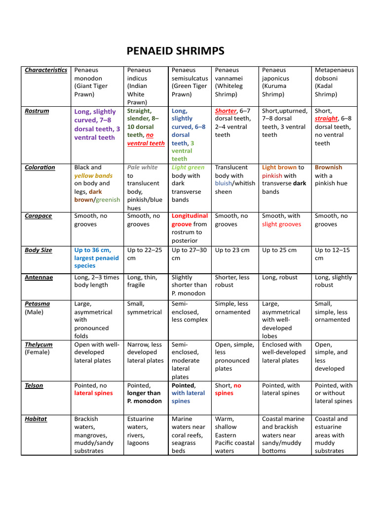 Penaeid-merged | PDF | Shrimp | Anatomical Terms Of Location