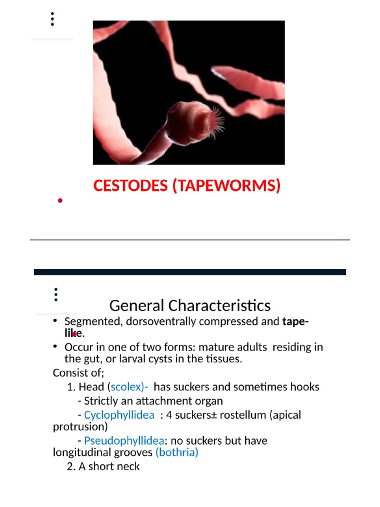 Cestodes | PDF