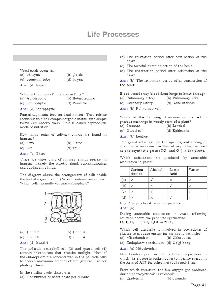 LIFE PROCESSES | PDF | Atrium (Heart) | Digestion