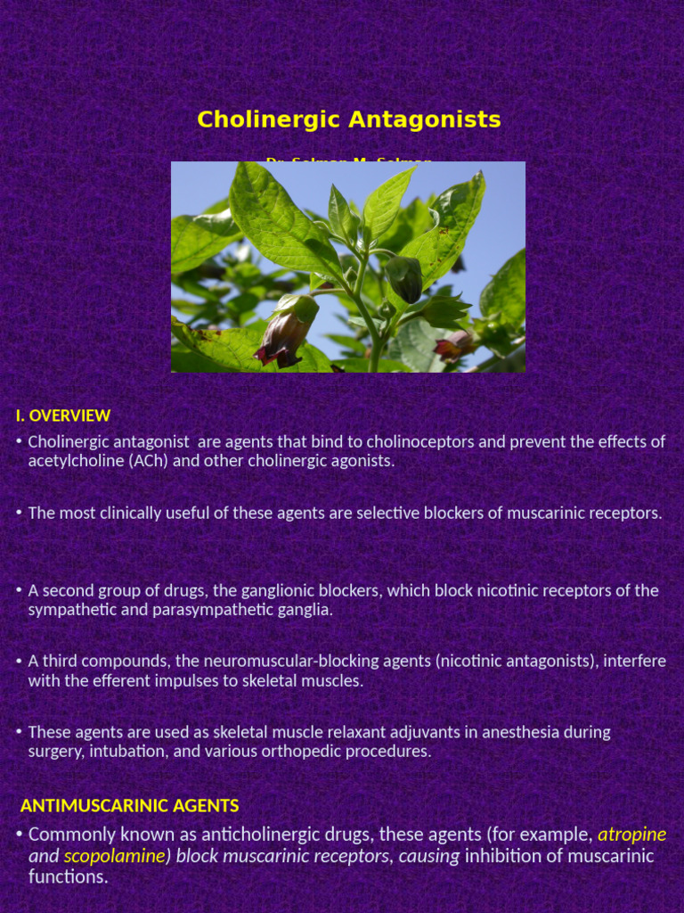 Cholinergic Antagonists 24 عليا | PDF | Acetylcholine | Neuromuscular ...