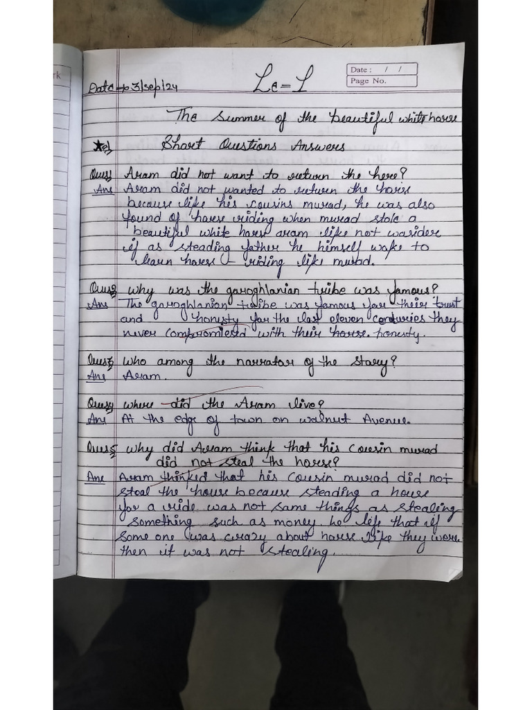 Class 11th English PDF Homework | PDF