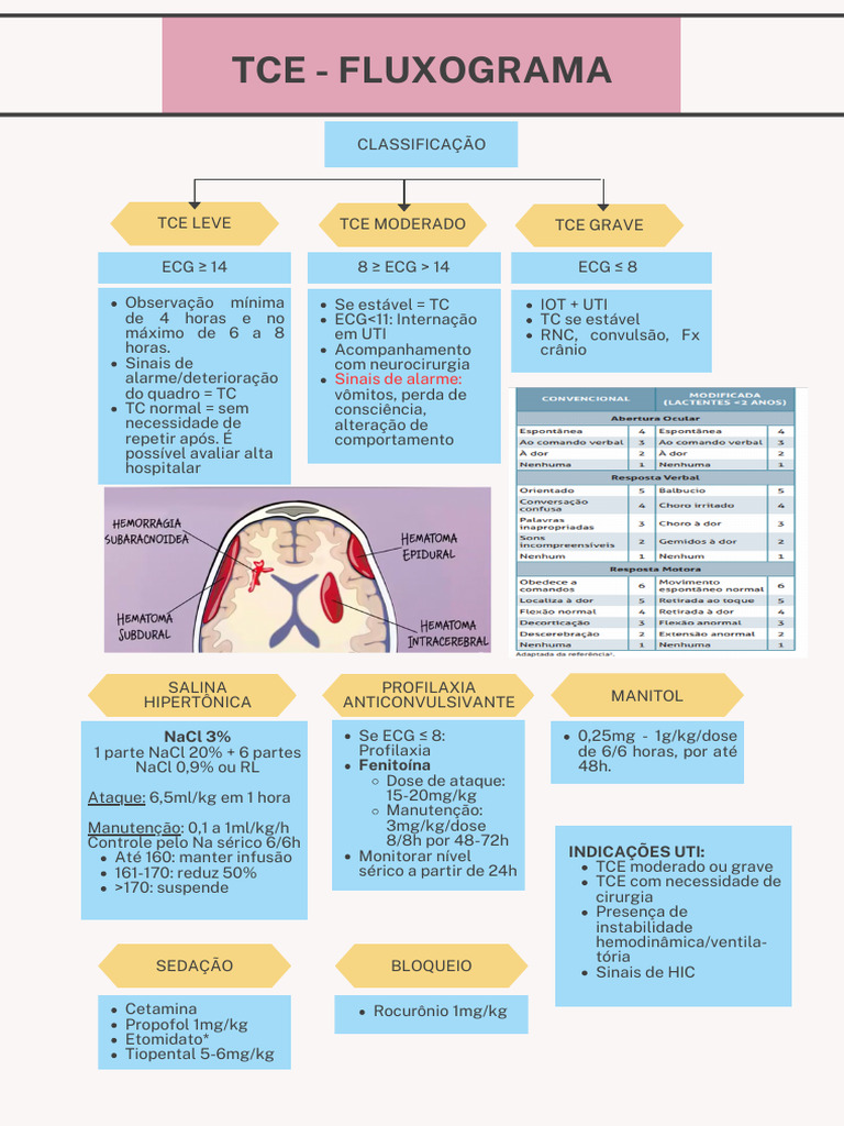 Tce - Fluxograma | PDF