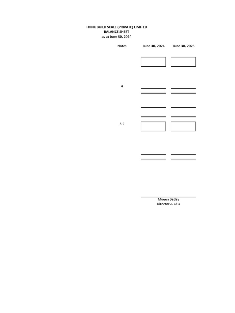 TBS FS--30.06.2024 | PDF | Expense | Equity (Finance)