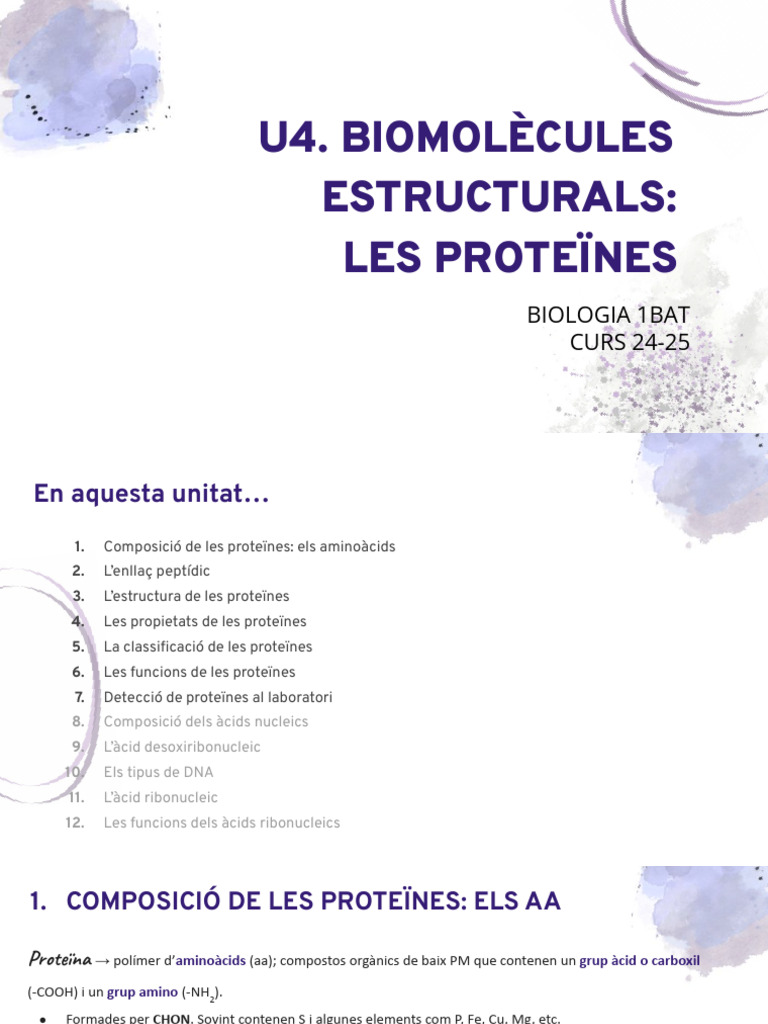 U4. Biomolècules Estructurals - Proteïnes | PDF