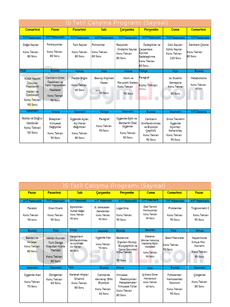 YKS-Sayisal-SAY-15-Tatil-Calisma-Programi-Indir-www-osymli-com.pdf | PDF