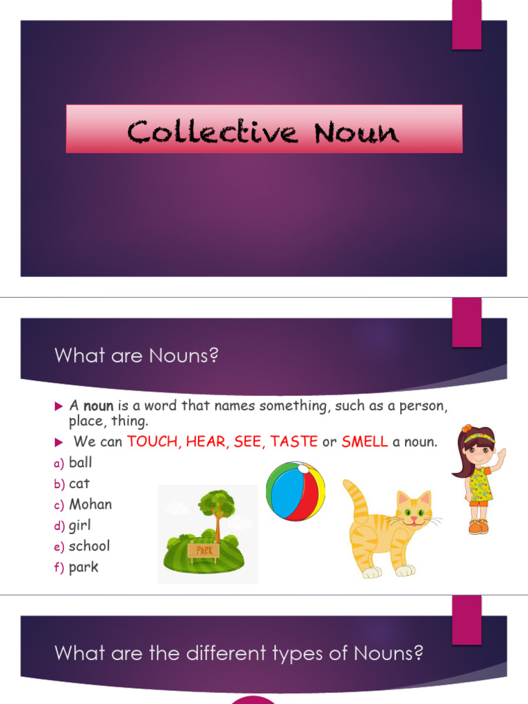 Collective Noun | PDF