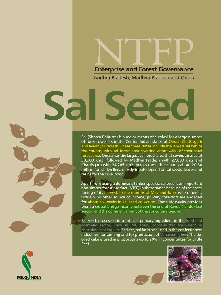 Sal Seed (NTFP) | PDF | Chocolate | Pesticide