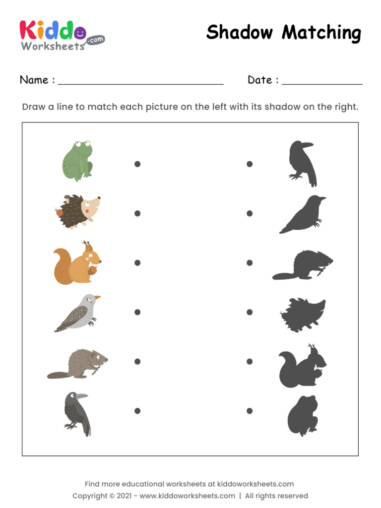 Shadow Matching Woodland Animals Worksheet | PDF