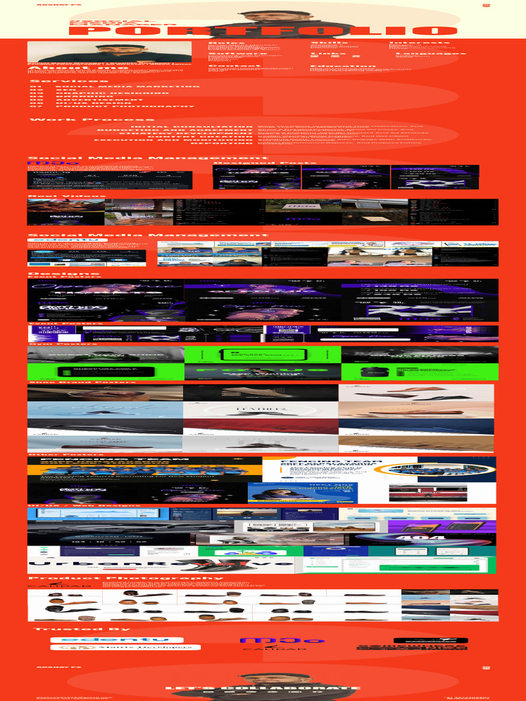Akshay P S - Portfolio | PDF | Marketing | Human Communication