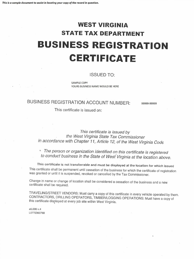INFORMATION Sample Business Registration Certificate | PDF