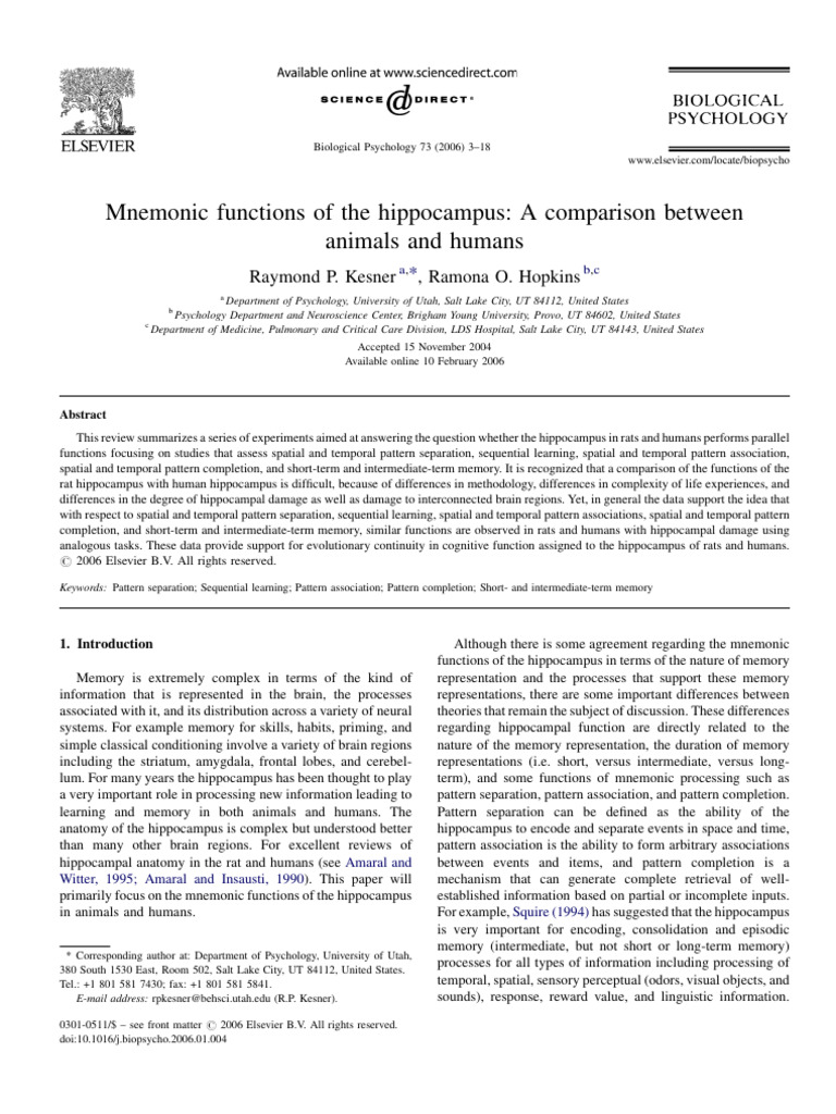 Hippocampus Functions: Rats vs. Humans | PDF | Hippocampus | Memory