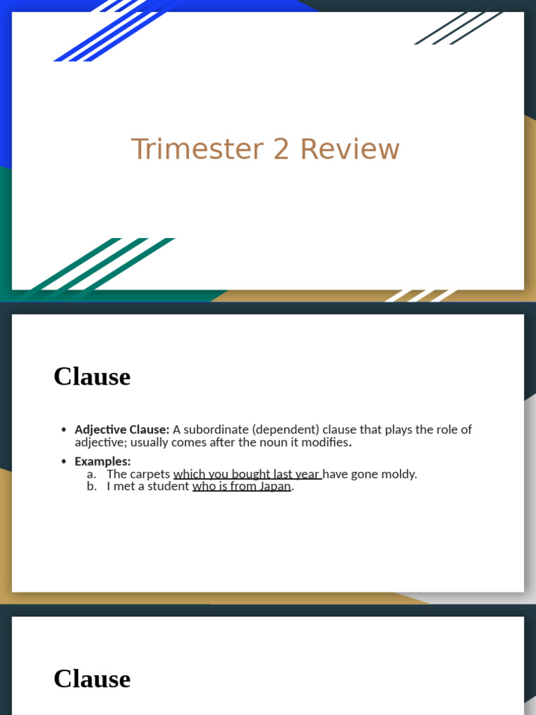 Trimester 2 Review | PDF | Grammatical Gender | Grammatical Number