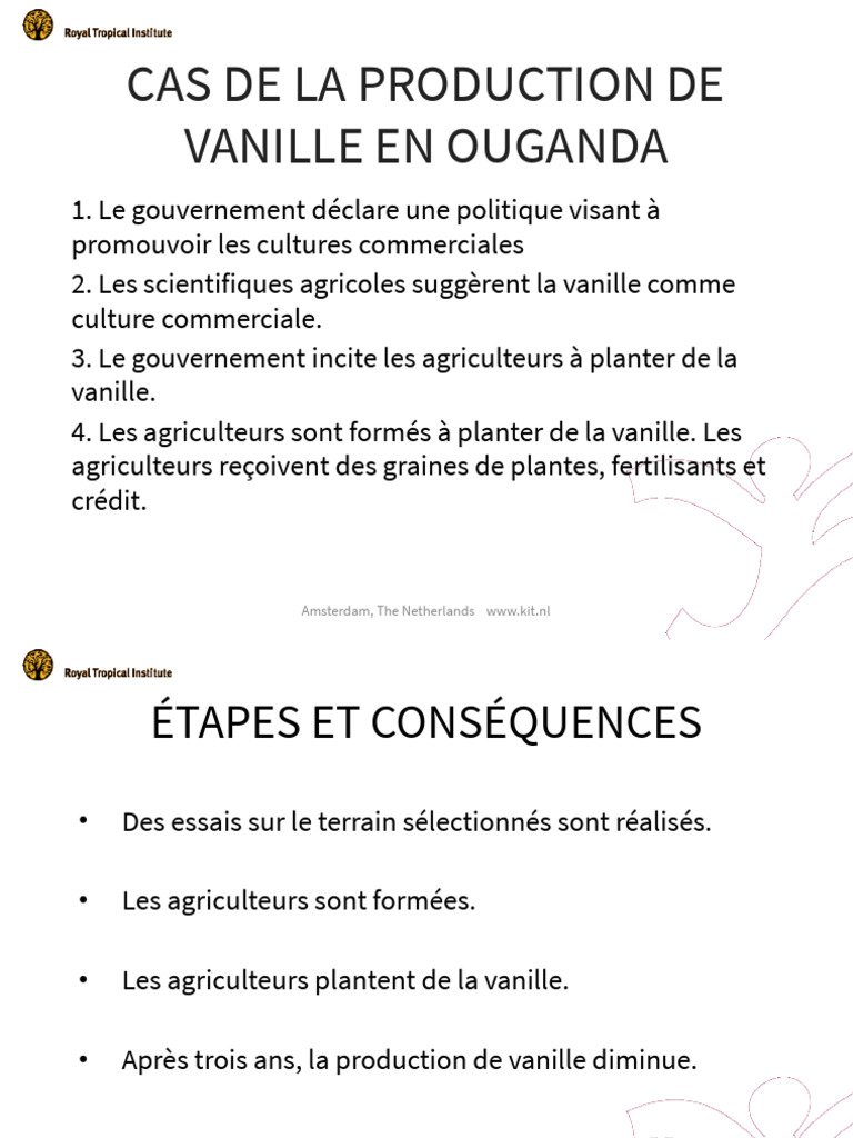 PPT_étude de cas vanille | PDF | Vanille | Agriculture