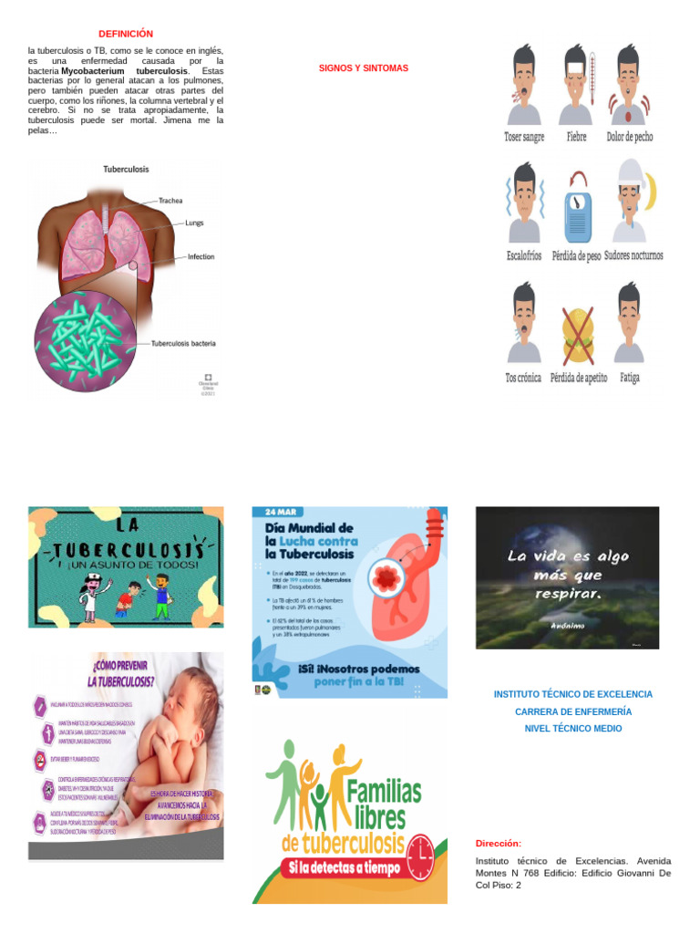 Triptico de La Tuberculosis | PDF