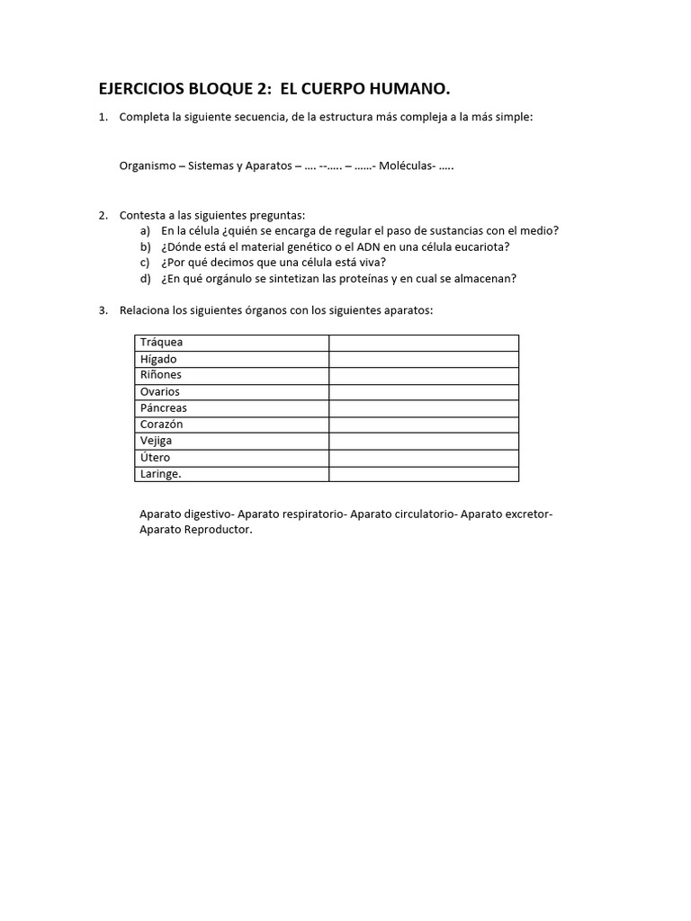 Ejercicios bloque 2 - EL CUERPO HUMANO | PDF | Vena | Corazón