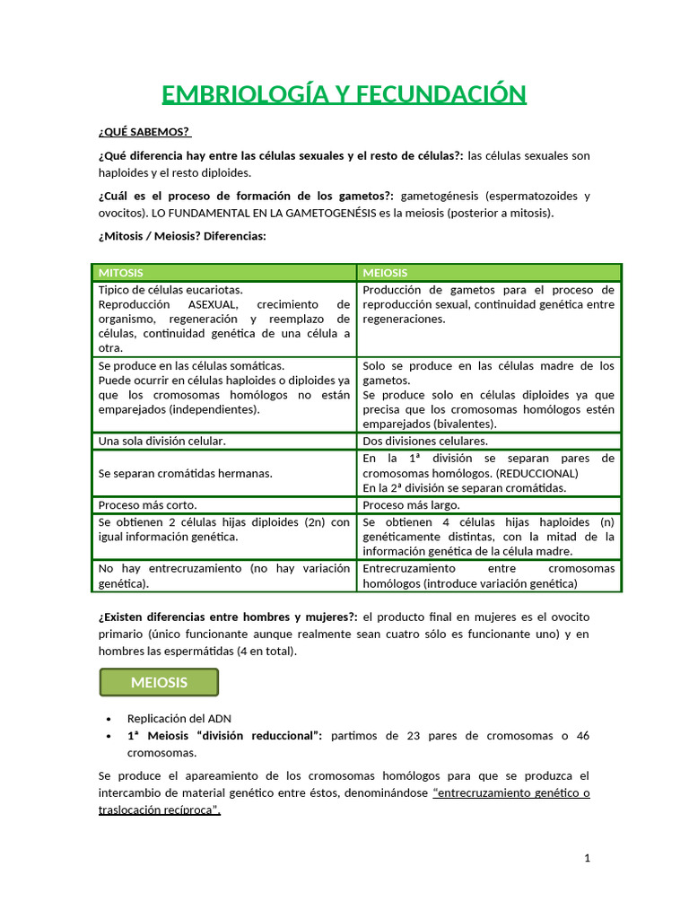 Embriologia y Fecundacio N | PDF | Mitosis | Procesos biologicos