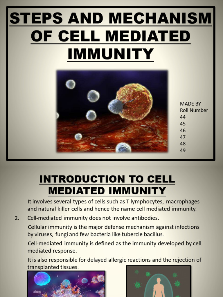 Cell Mediated Immunity | PDF | T Cell | Immune System