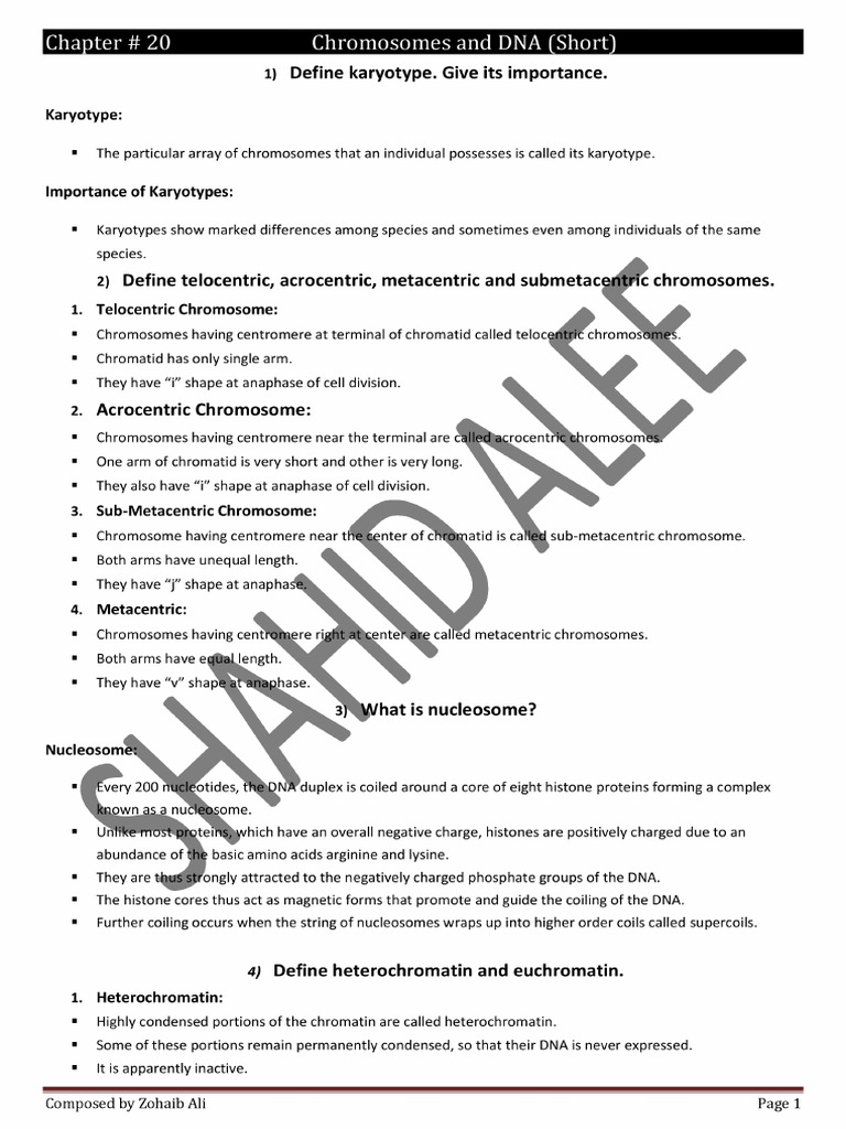 Chapter 20 Short Questions | PDF