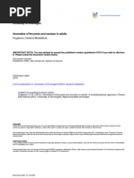 Understanding the Penile Raphe Line | PDF | Genitourinary System ...
