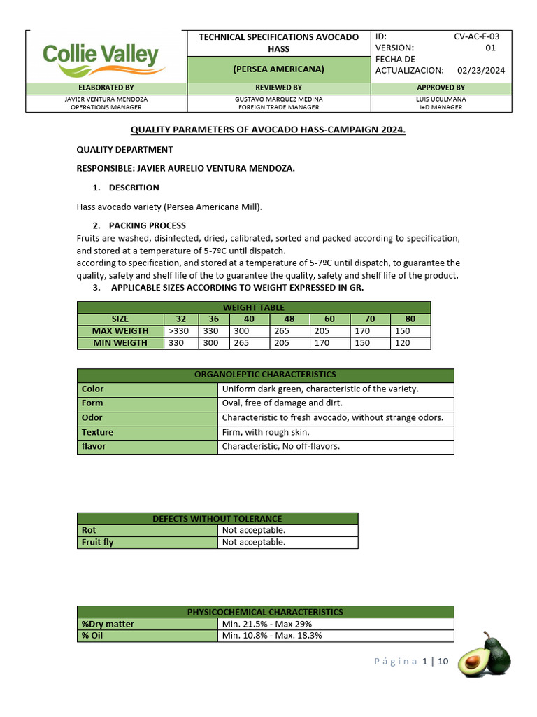 Hass Avocado Technical Specifications 2024 | PDF | Avocado