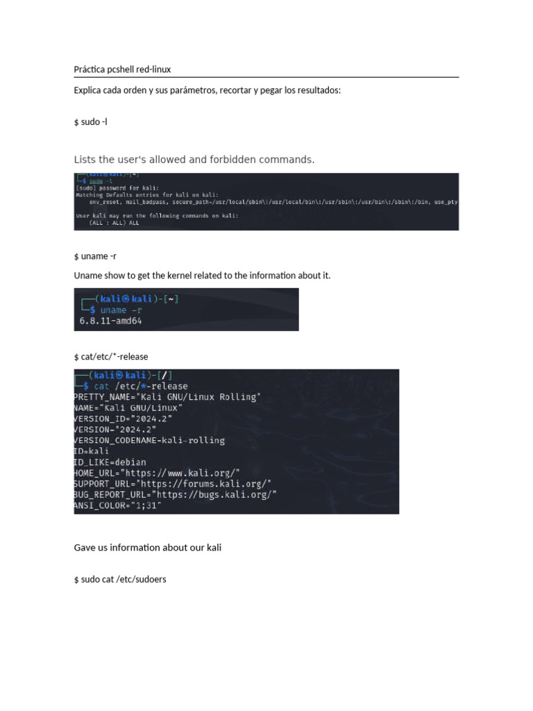 Práctica pcshell red linux | PDF