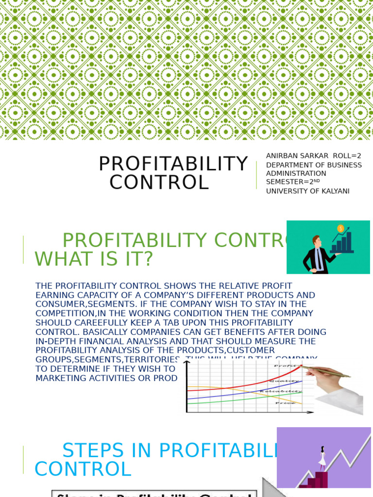 Profitability Control | PDF