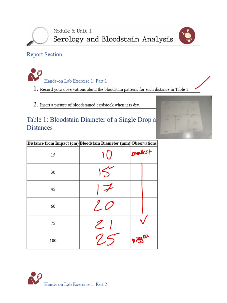 Serology and Blood Spatter Laboratory Worksheet | PDF | Length