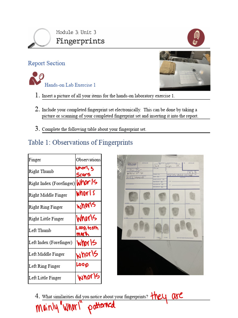 Forensic Fingerprint Lab Guide | PDF | Fingerprint | Finger