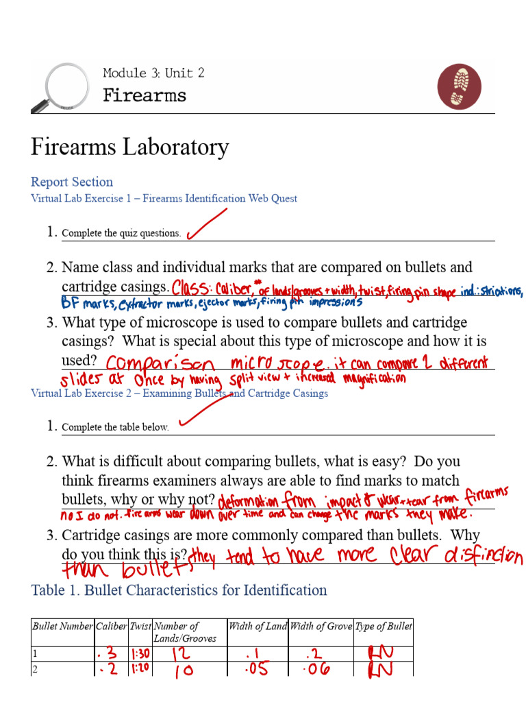 Firearms Lab Worksheet | PDF | Cartridge (Firearms) | Bullet
