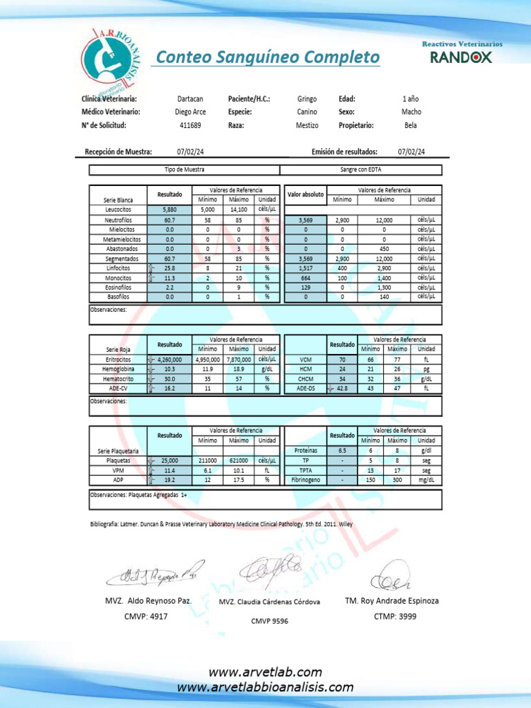 W-7651 Hemograma Canino | PDF | Medicina CLINICA | Hematología