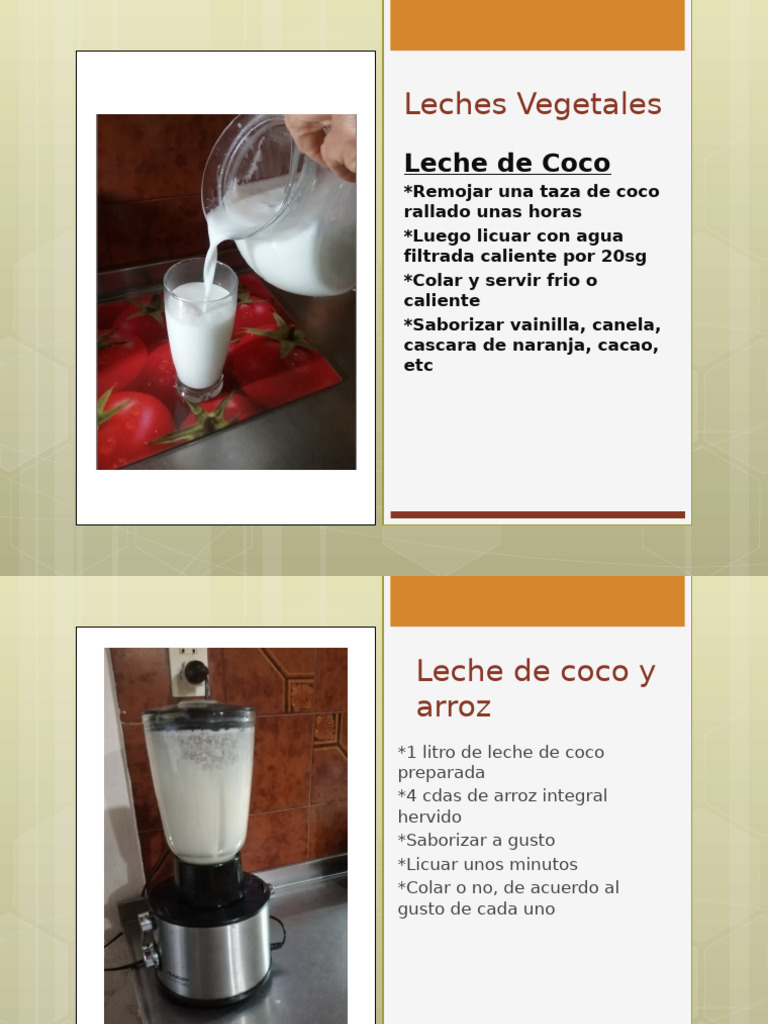 Leches Vegetales Dina Huapi | PDF