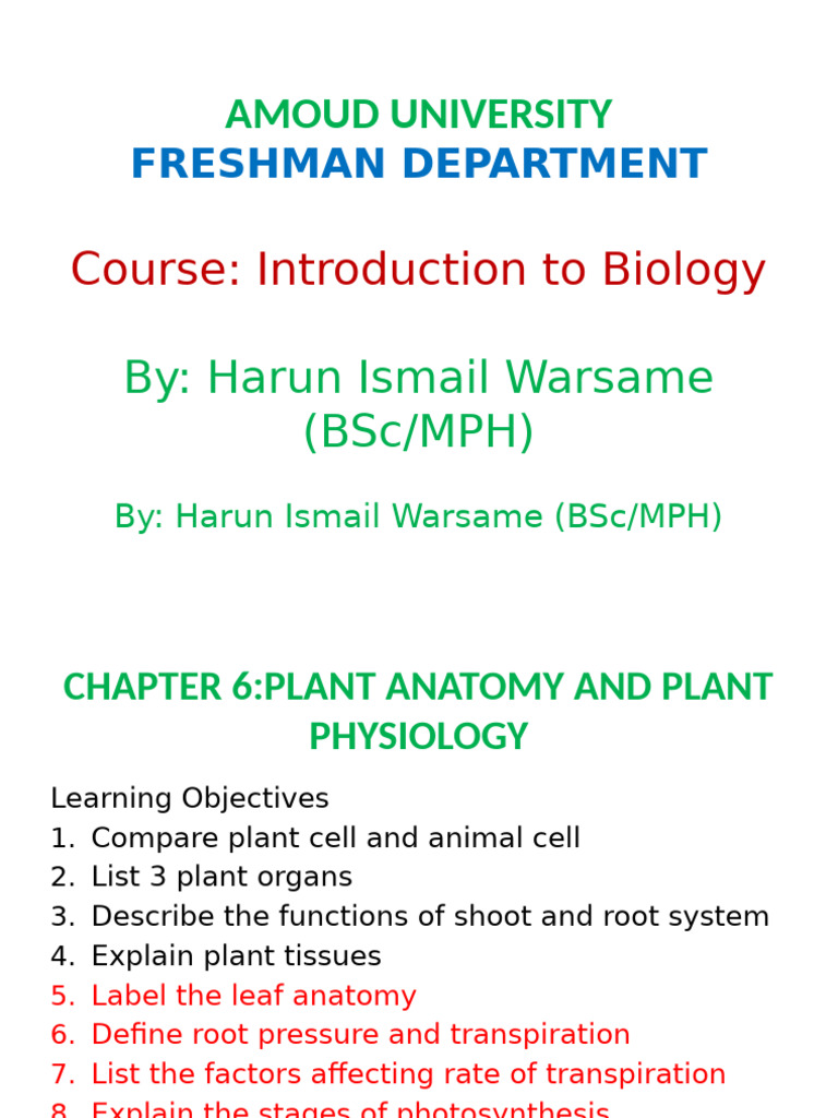 Chapter 6 Plant Anatomy and Physiology | PDF | Leaf | Root