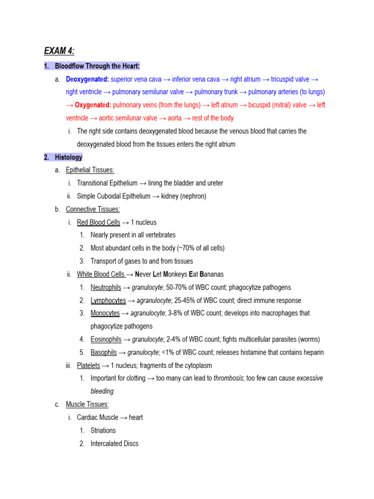 BIO 221 Exam 4 | PDF
