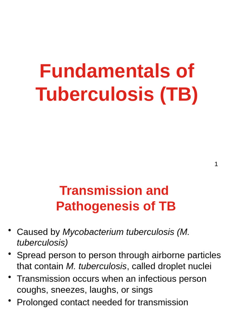 FundamentalsofTB | PDF | Tuberculosis | Health Care