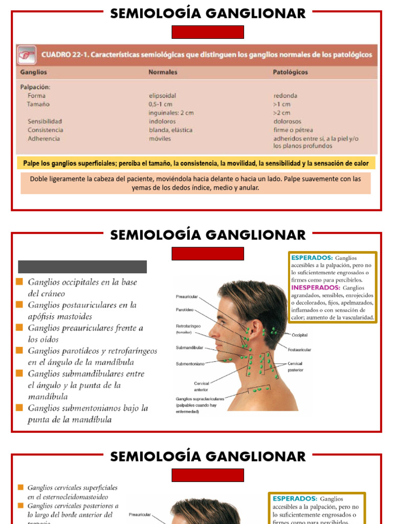 Ganglios P3 | PDF